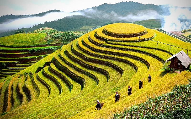 Sa Pa, Vietnam