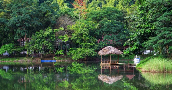 Discover Nam Cat Tien National Park: Nature's Retreat