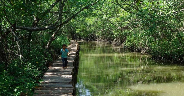 Ream National Park - Preah Sihanouk Ream National Park - Sihanoukville ...