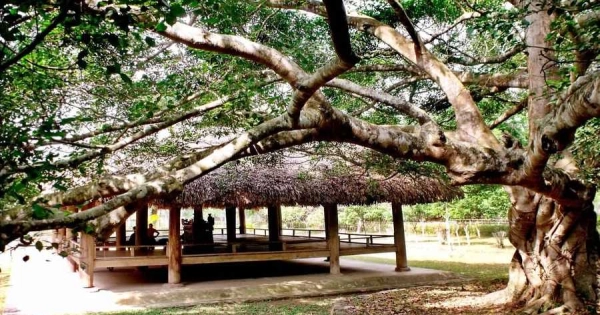 Visiting Tan Trao Relics, the Vietnamese Revolutionary base